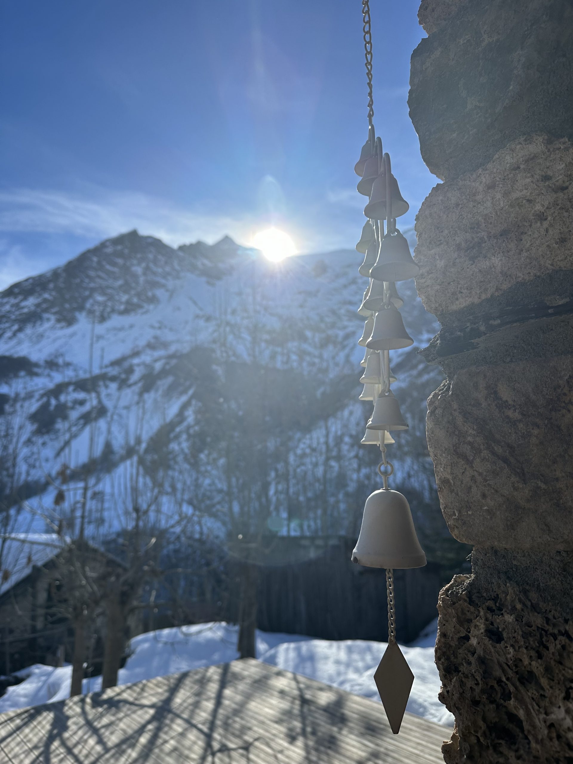 Contact - Paula Wolfe